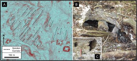 Surface Evidence Of The Subsurface Fracture System A Rrim Showing Download Scientific