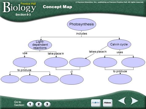 Understanding Photosynthesis A Complete Concept Map With Answers