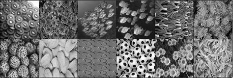 21d Textures