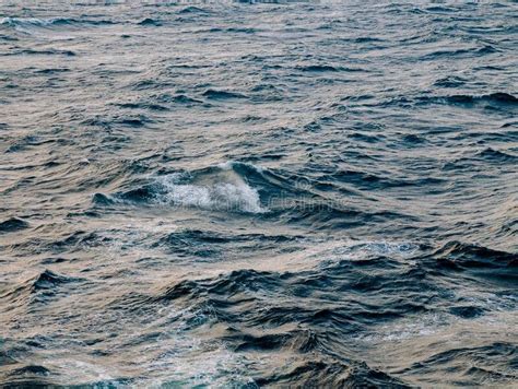 Whats The Cheapest Way To Make Realistic Animatedstatic Ocean