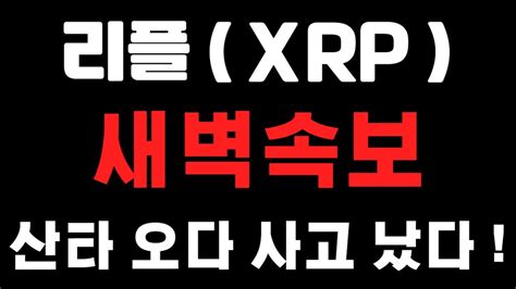 리플코인 새벽속보 산타 오다 사고났다 불독코인비트코인급등코인코인단타 Youtube