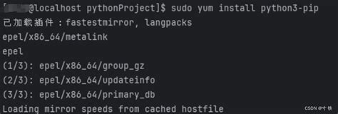 【centos】深度解析：centos下安装pip的完整指南 centos 安装pip csdn博客