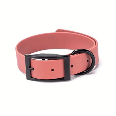 Collier En Biothane Impermeable Pour Chien