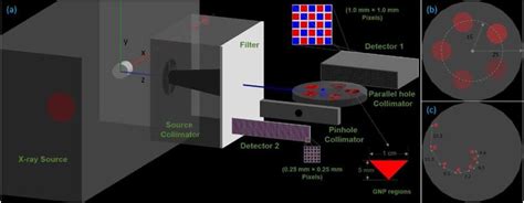 geant4 mc simulation geometry a irradiation and detection setup b