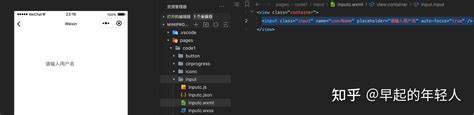 微信小程序文本输入＜input ＞ 详解 imxiangzi 博客园