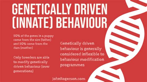 Innate And Learned Behaviour Johnrogerson Com