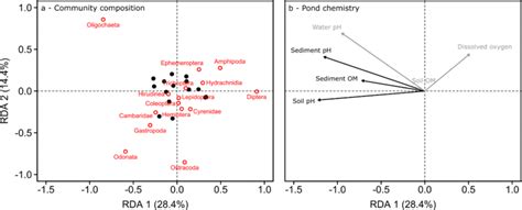 Relationship Between A Macroinvertebrate Community Composition And Download Scientific