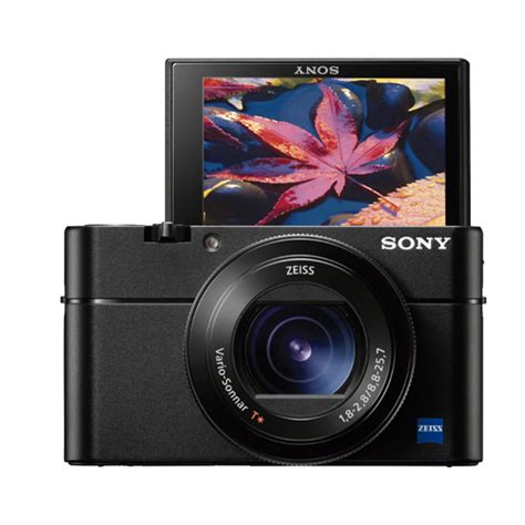 Sony Cyber Shot DSC RX V MP Compact Camera
