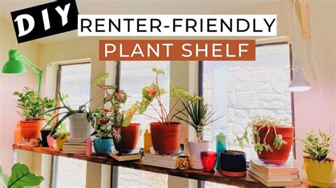 Diy Window Plant Shelf To Elevate Your Indoor Garden Blitsy