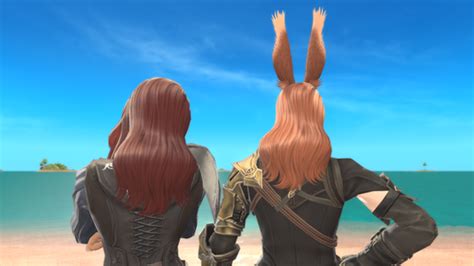 The Bold And The Braid Hairstyle Final Fantasy Xiv Online Wiki