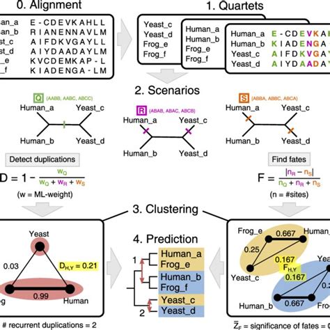 Many New Cases Are Detected Of Prevalent Recurrent Sequence Evolution Download Scientific