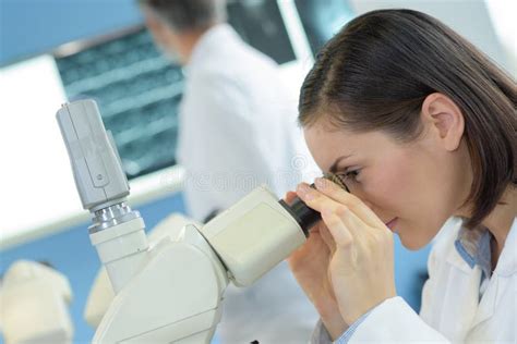 She Looking Through Microscope Stock Photo Image Of Conduct Findings