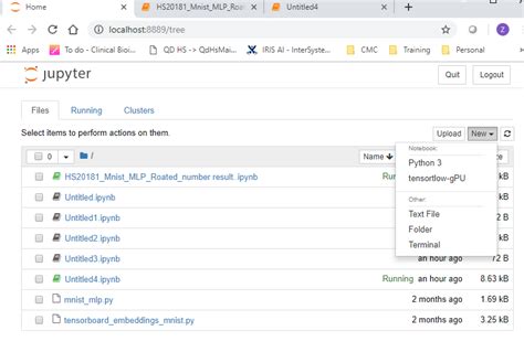 Run A Deep Learning Demo With Python3 Binding To Healthshare Part Ii