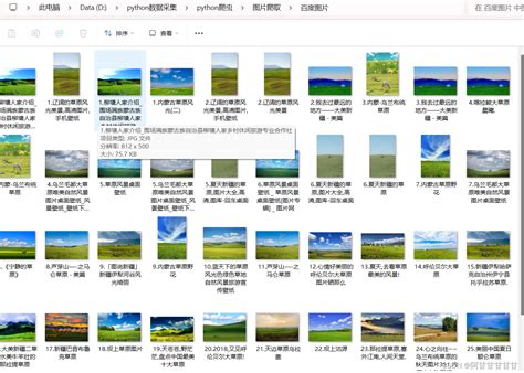 Python抓取图片withopen保存图片 Csdn博客