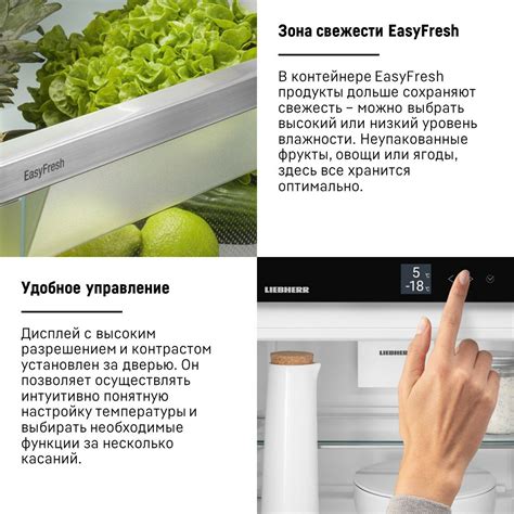 Встраиваемый холодильник Liebherr ICNSf 5103 — купить в интернет ...