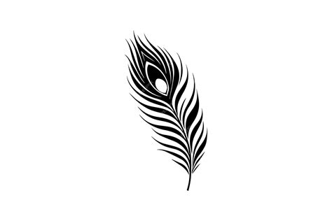 Peacock Feather Clipart Vector Silhouette Isolated In White Background