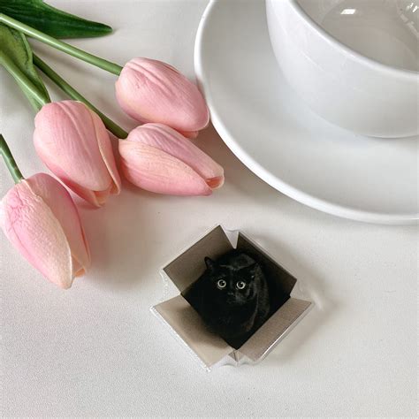 플렌티오브뷰티 박스냥이 그립톡 검은 고양이 아크릴 스마트톡