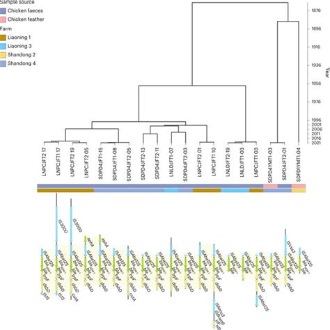 data mining pipeline to find correlations between gut microbiome