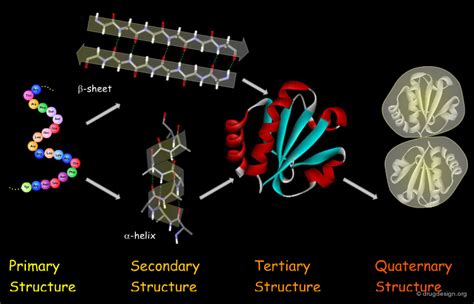 Structural Bioinformatics Drug Design Org