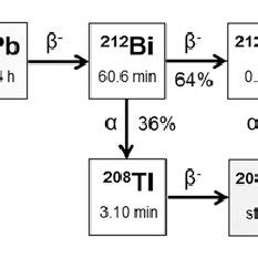 Decay of 212 Pb to 212 Bi and stable 208 Pb. | Download Scientific Diagram