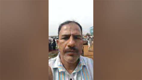 నేలపట్టుflemingo Festival Youtube