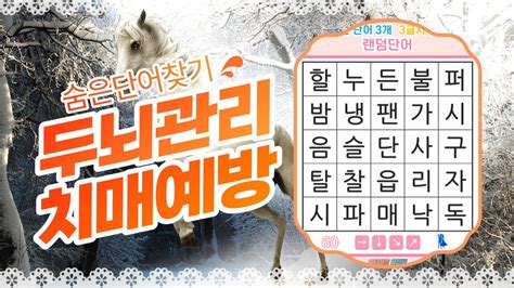 두뇌 운동의 놀라운 효과 숨은단어찾기 치매예방 퀴즈 초성퀴즈 단어퀴즈 두뇌운동 뇌건강 치매테스트 기억력