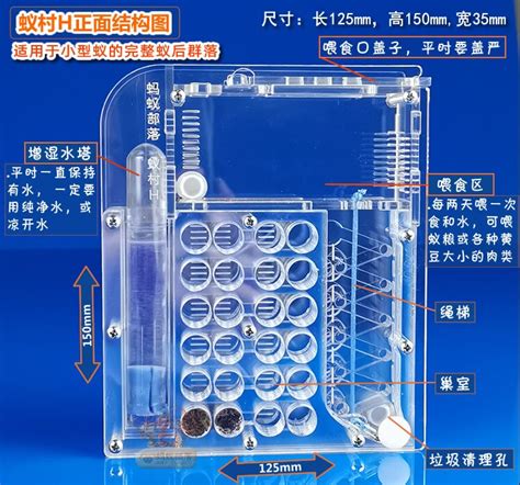 With Climbing Space Ant Nestmoisturizing Idea Rep Grandado