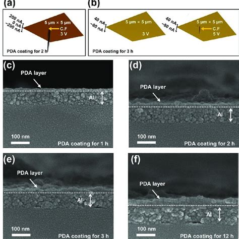 The Measured Conductive Filament In The Pda Al Structure Coated With A