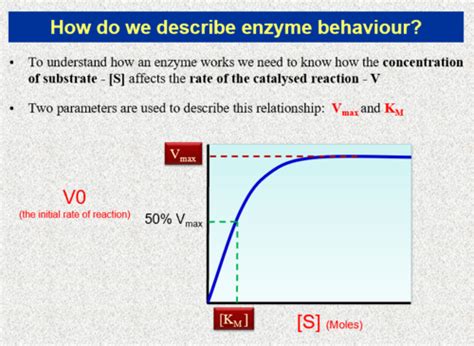 Enzyme Kinetics Flashcards Quizlet