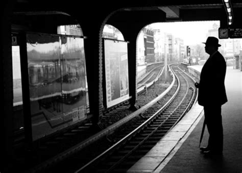 Platform 7 Indio Armitage Medium