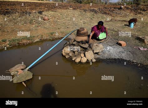 Mahua Wine Process Of Extracting Country Liquor From Mahua Flowers Stock Photo Alamy