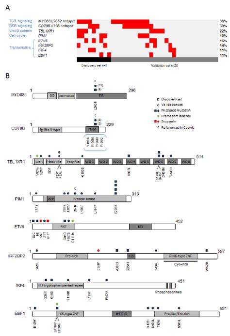 Investigation Of 8 Relevant Genes Recurrently Affected By Point