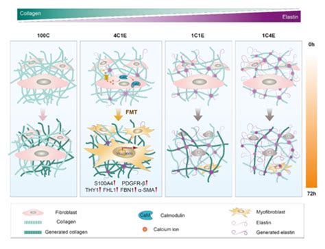 1월 2월 Kriss인상 수여식 개최 Kriss 소식 알림소식 한국표준과학연구원
