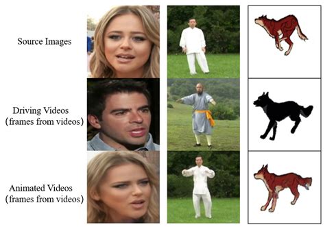 Improved First Order Motion Model Of Image Animation With Enhanced Dense Motion And Repair Ability