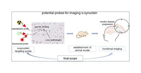Current Progress In The Development Of Probes For Targeting α Synuclein