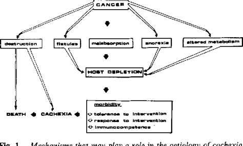 Figure From Cancer Cachexia A N D Its Semantic Scholar