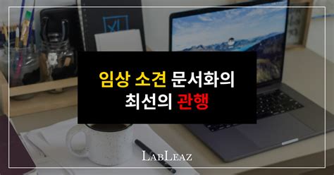 임상 소견 문서화 최선의 관행 Lableaz
