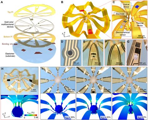 Three Dimensional Multifunctional Neural Interfaces For Cortical Spheroids And Engineered