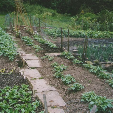 Sods Law Series 2 Phil Smith The Phil Smith Archive