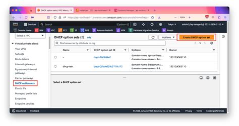 设置vpc Dhcp参数及手工修改dns