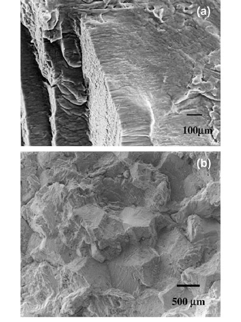 Fracture Surface Morphologies A Predominant Transgranular Download Scientific Diagram