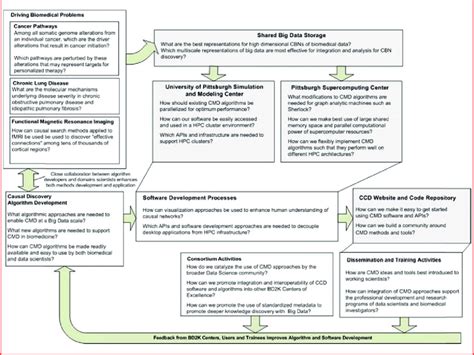 center for causal discovery ccd organization and workflow optimized
