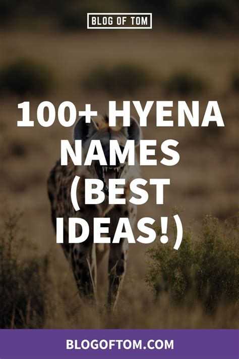 100 Hyena Names Best Ideas Hyena Name Ideas Names For A Hyena