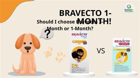 Bravecto 1 Month Should I Choose Bravecto 3 Month Or 1 Month Ppt
