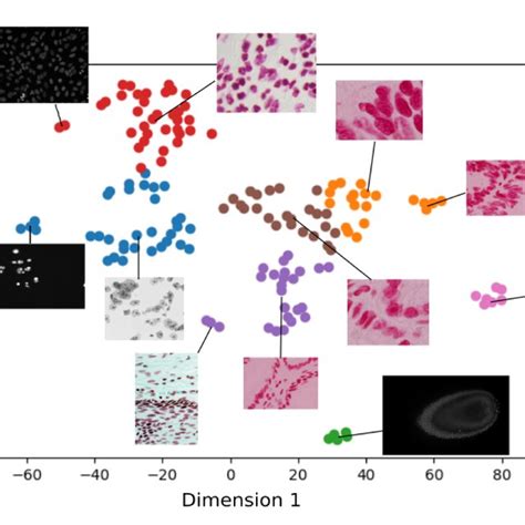 Latent Space Visualization T Sne Embedding Of The 32 Dimensional