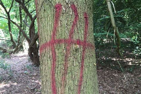 Is A Swingers Sex Club Really Opening In Earlsdon Coventrylive