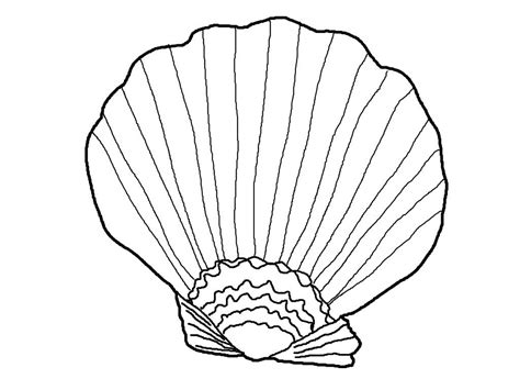 Sea Shells Coloring Page Printable Sketch Coloring Page