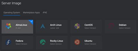 Vultr Bare Metal