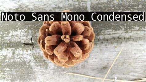 Noto Sans Mono Condensed Font