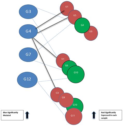 The Use Of Gene Interaction Networks To Improve The Identification Of Cancer Driver Genes Peerj